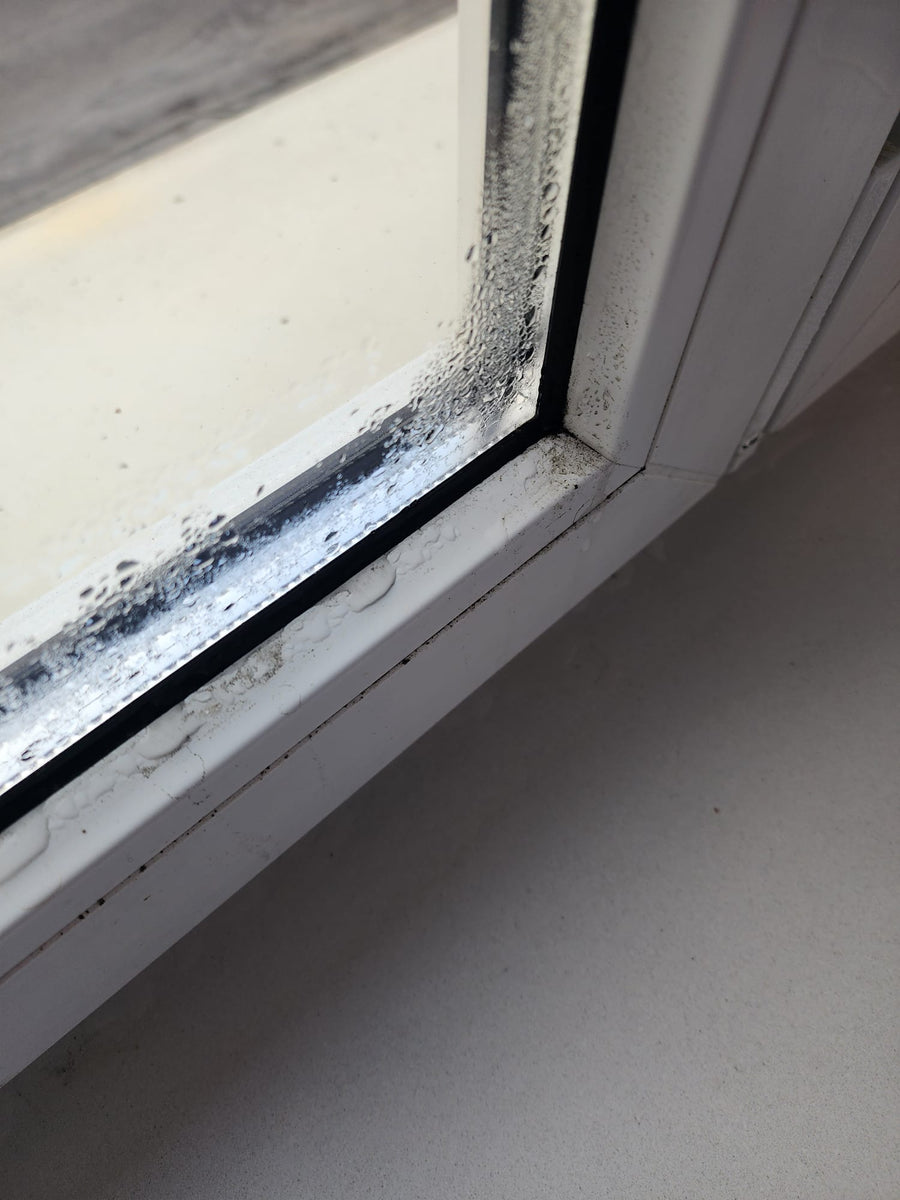 Damp Windows and Morning Mold? Why Your Windows Are "Crying" and How t ...